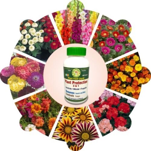 Plant Protection 3 in 1 (Pack of 2) - Wholesale Plant Nursery in Lucknow